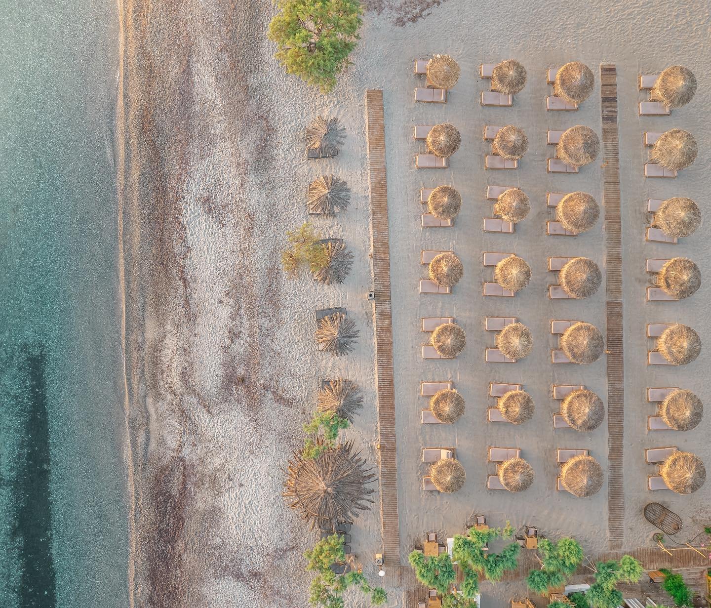 Mylos Beach Bar - Beach Bar & Restaurant Kos