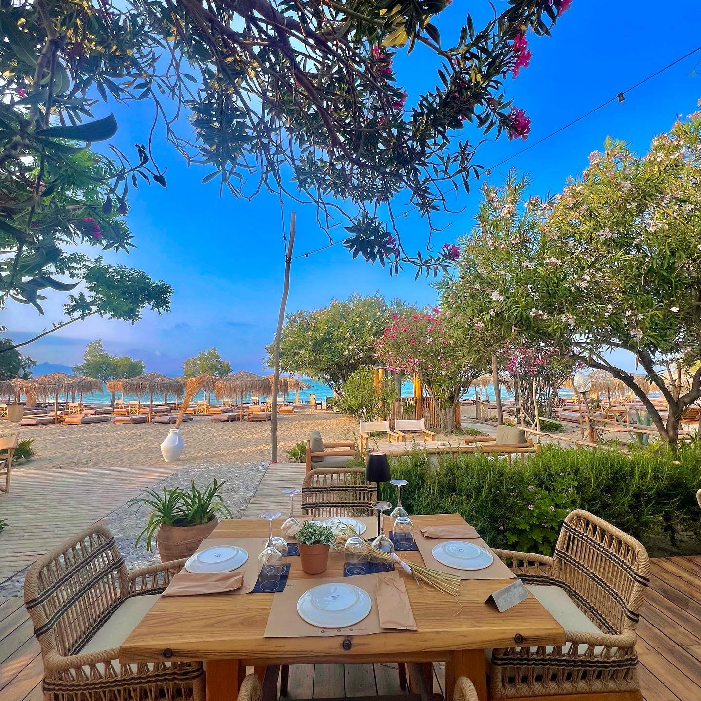 Mylos Beach Bar - Beach Bar & Restaurant Kos